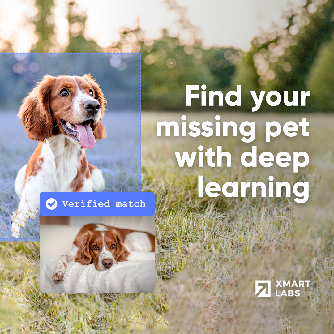 Find your missing pet with deep learning